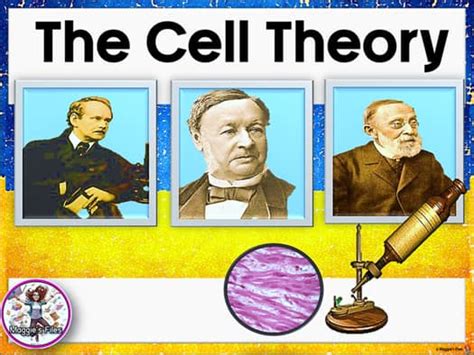 Cell Theory Ppt And Notes By Maggies Files Tpt
