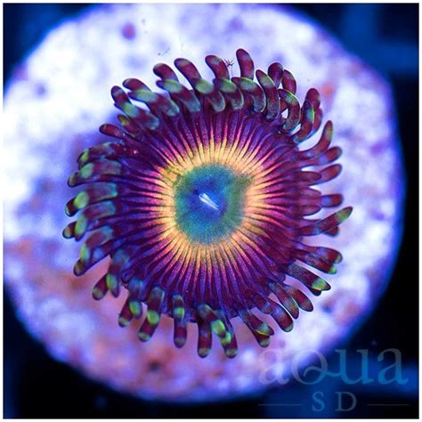 Latest Weekend Update And Sale All On One Page Here Check Out All 700