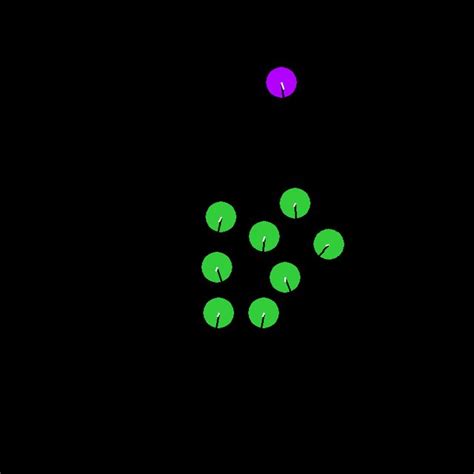 Visualization Of The Continuous Two Dimensional Predator Prey