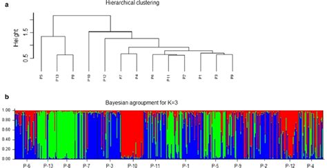 a groupment analysis a hierarchical clustering using euclidean