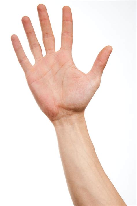 Hand By ISOStock On DeviantArt