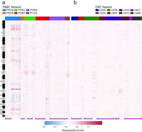 Heatmap Visualizing Inferred Cnv Results Obtained Using Copykat [10] Download Scientific