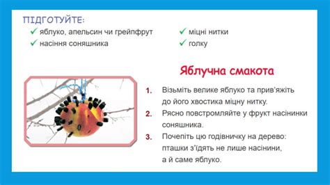 Презентація День годування птахів