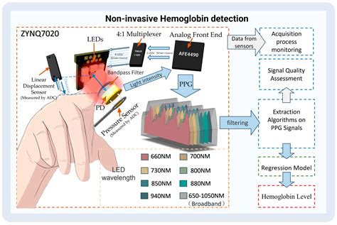 A Non Invasive Hemoglobin Detection Device Based On Multispectral Photoplethysmography
