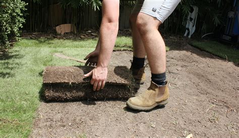 Laying Turf Ausgap Certified Turf Accreditation Program