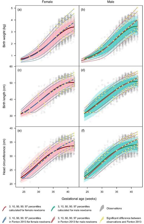 Fetal Growth Chart Head Circumference