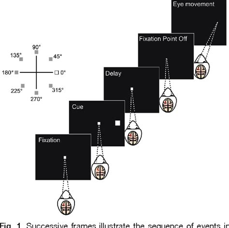 Figure 1 From A Neural Circuit Basis For Spatial Working Memory