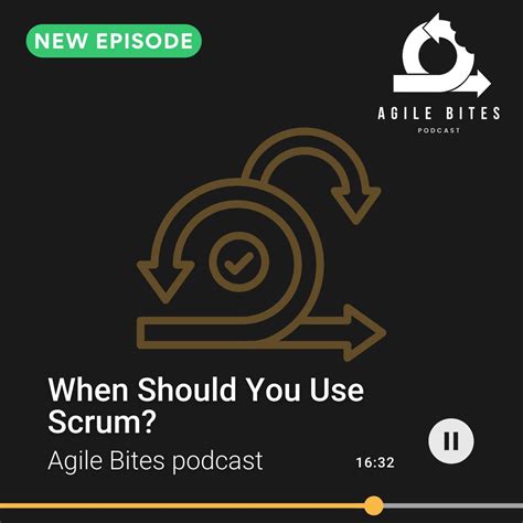 When People Say They Want To Start Increasing Their Agility Or Do More Agile Software