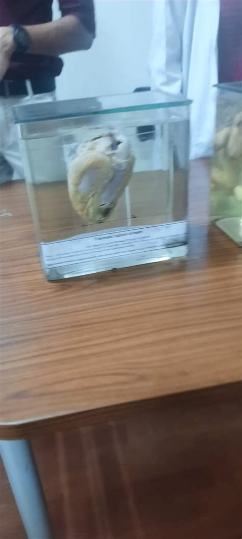 Neet Ke Liye Aur 6 Din Baaki Hai Dekhlo Aise Hota Hai Medical College