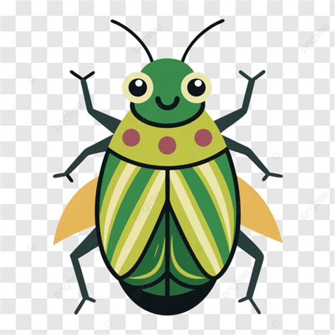 Cucumber Beetle Bug Stands Colorful Isolated Sticker Vector Cucumber Beetle Bug Png And