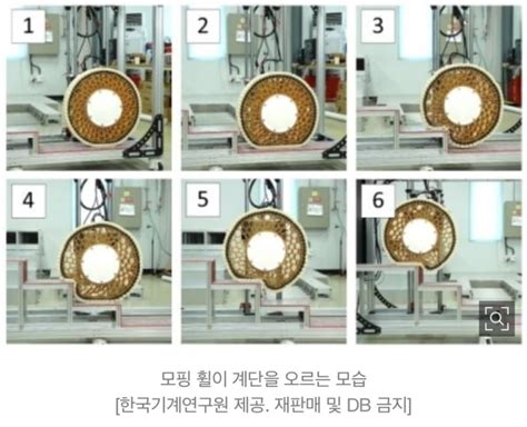 대환란 이동수단 계단·바위도 자유자재로 모양 변하는 바퀴 나왔다 네이버 블로그