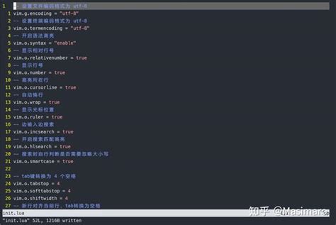 从零开始配置 vim 初始配置 知乎