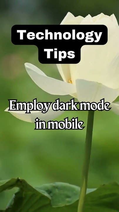 🚀 Ultimate Tech Tips To Boost Your Productivity 💻 Techtips Lifehacks Productivityhacks