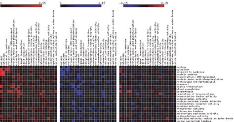 Confusion Matrices For Mismatch And Mammoth Kernels Within Each Download Scientific Diagram