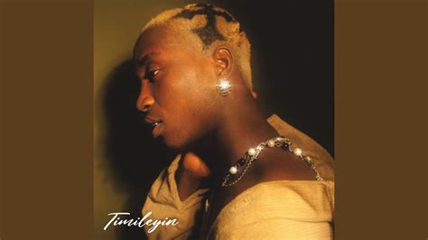 365 Days Tml Vibez Song Lyrics Music Videos And Concerts