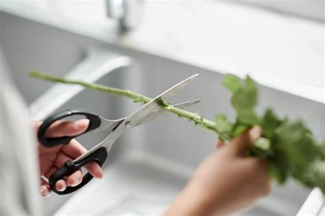 Premium Photo Woman Cutting Flower Stem