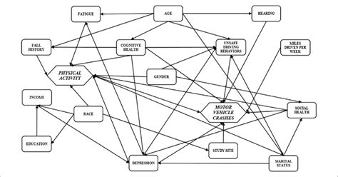 Directed Acyclic Graph Dag Demonstrating Relationship Between