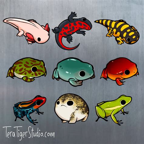 How To Draw A Frog Step By Step With Pictures Artofit