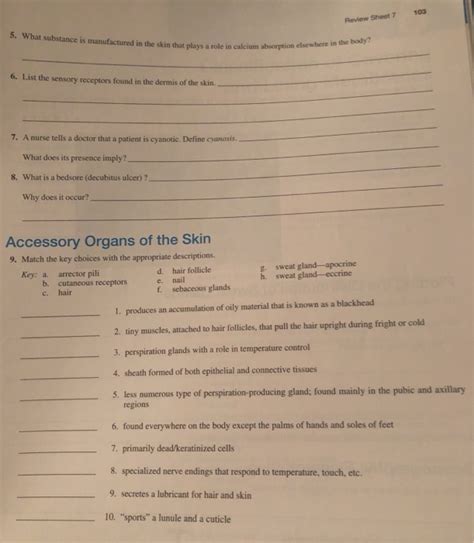 Review Sheet Exercise The Integumentary System At Mary Sims Blog