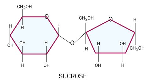 A Nonreducing Sugar Isa Glucoseb Sucrosec Fructosed Maltose