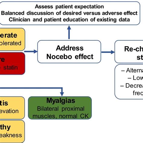 Proposed Algorithm For Evaluation And Management Of Statin Associated Download Scientific