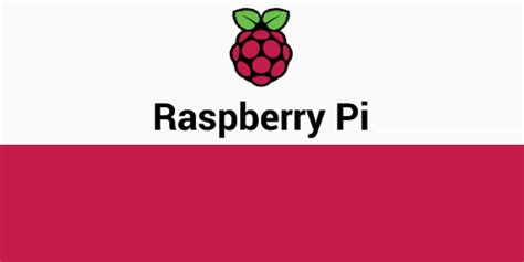 Raspberry Pi Autostart Multiple Fullscreen Chromium Windows On Different Monitors After Boot