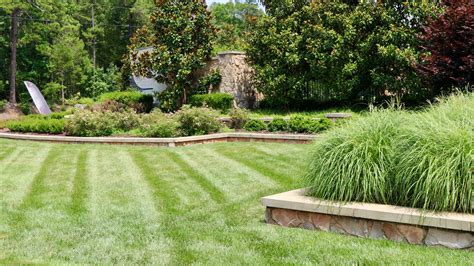 Must Know Grass Care Tips Gardening Life 365
