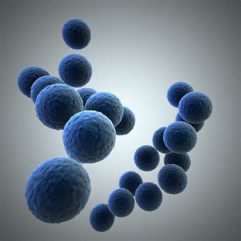 Streptococcus 3d Model Download Free 3d Models