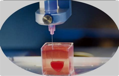 [cnn] 3d 프린팅으로 만든 인공장기 곧 임상시험에 들어간다