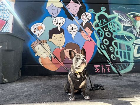 The Best Las Vegas Murals And Las Vegas Street Art Sick Girl Travels