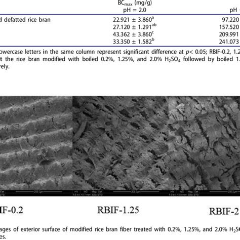 In Vitro Maximum Binding Capacity BC Max Of RBIDF For Pb At PH Download Scientific