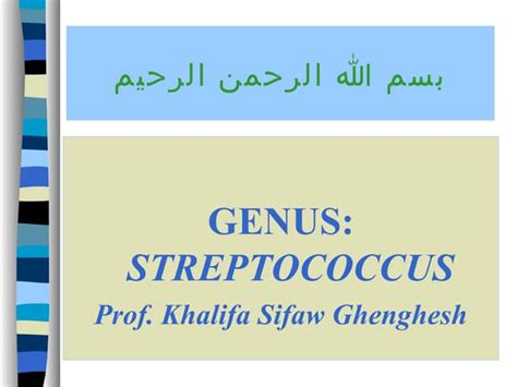 Lecture 3 Streptococcus Pyogenes Ppt
