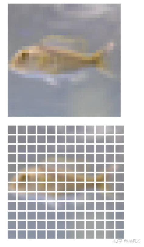 使用 Vision Transformer 进行图像分类 知乎