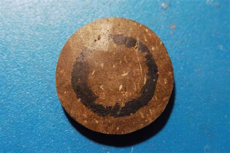 Coconut Ring 4 Steps With Pictures Instructables