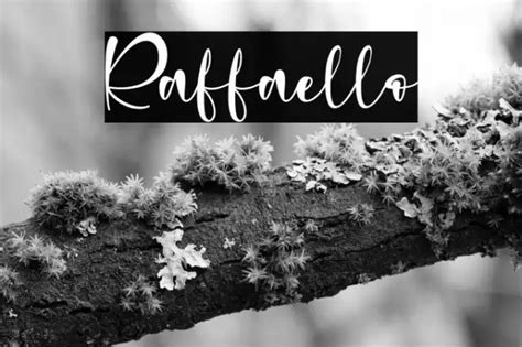 Raffaello Font Free Download Ttfotf
