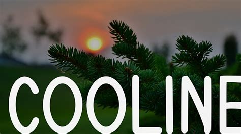Cooline Font Download Free For Desktop And Webfont