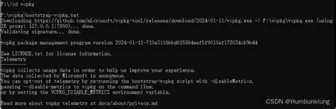 vcpkg配合nuget在项目中使用包 vcpkg nuget csdn博客