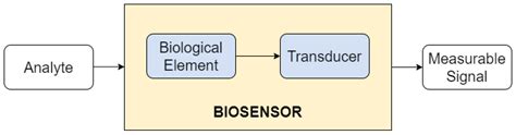 Coatings Free Full Text A Surface Plasmon Resonance Spr Based Biosensor Simulation