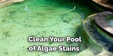 How To Get Algae Stains Out Of Pool 10 Easy Steps 2025