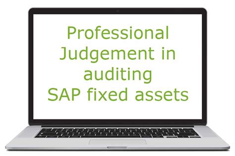 Professional Judgement In Auditing Sap Fixed Assets Zapliance