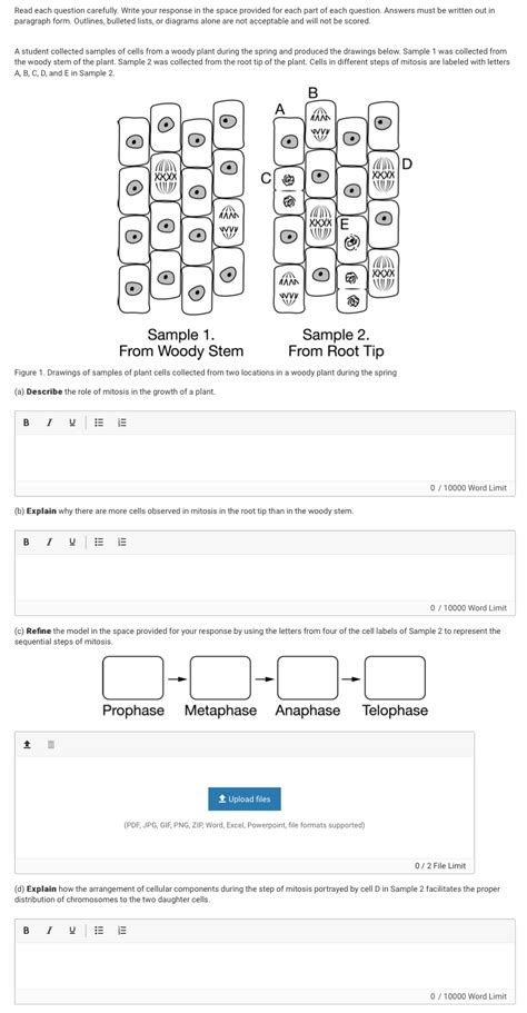 solved read each question carefully write your response in