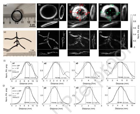 Ex Vivo Transcranial Pact Results A Photograph Of A Pa Absorber Made Download Scientific