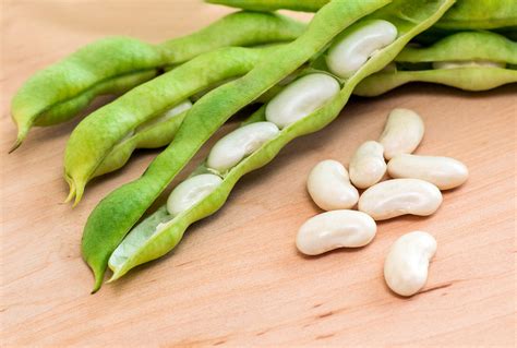 Stringless Garden Bean Seeds