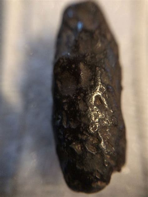 Shark Coprolite Fossil Id The Fossil Forum