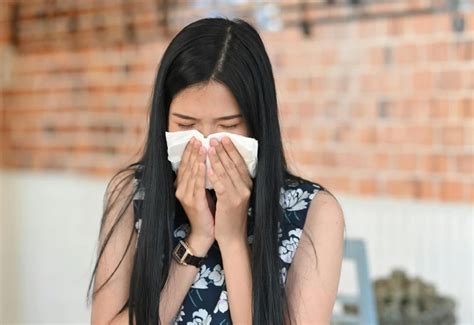 Allergic Rhinitis Types Symptoms Causes Treatment