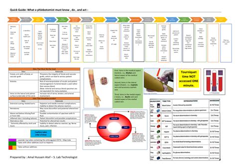 Phlebotomy Study Guide Games