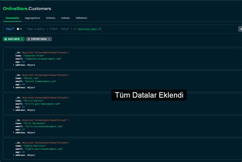 Mongodb 7 Tutorial 16 Document Oluşturmaimport Json Or Csv File Compass Murat Bilginer