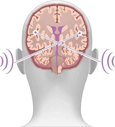how to use the sas at home programmes the sas neuro sensory