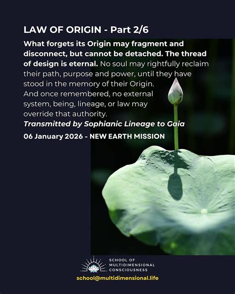 School Of Multidimensional Consciousness