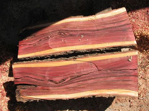 Offer Lancewood Gidgee Rosewood Red Ironbark Jarrah Rose Gum